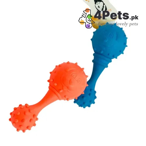 4pets.pk - Online Pets Shop in Karachi, Pakistan